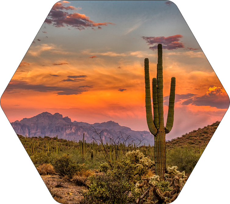 Arizona Workers' Compensation Insurance